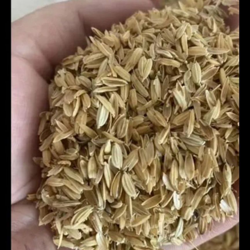 Овсяная шелуха, зерно отходы ячменя