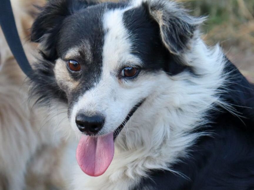 Ромик хочет домой