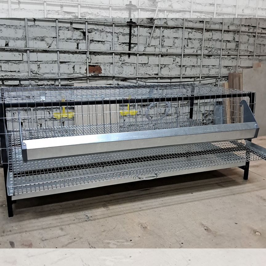 Клетка для перепелок