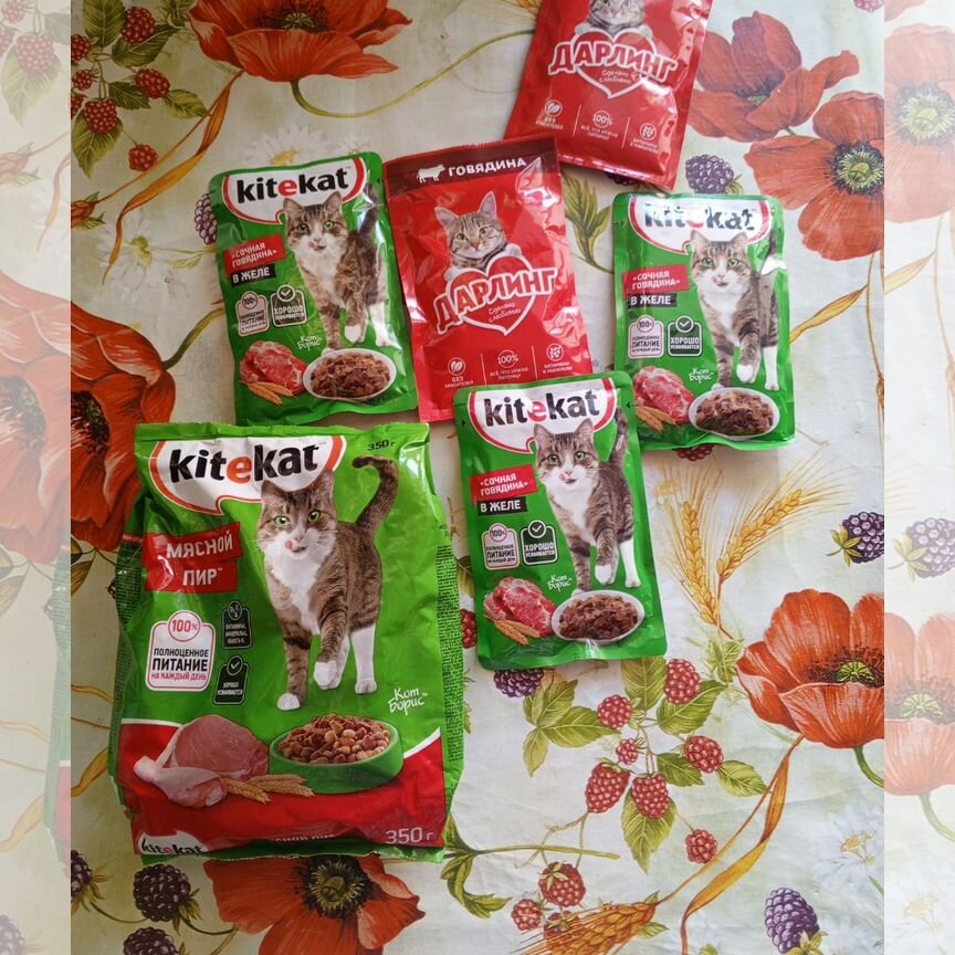 Корм для кошек