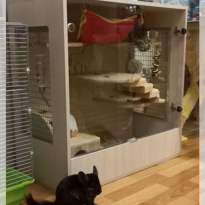 Витрина для шиншилл, дегу