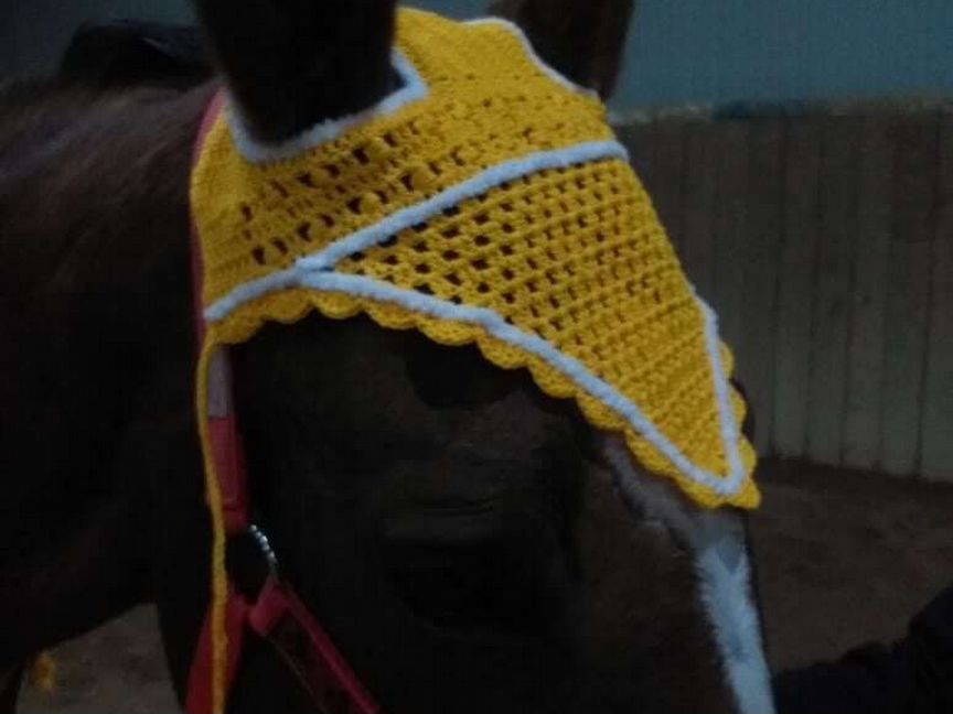 Шапочка Для лошади
