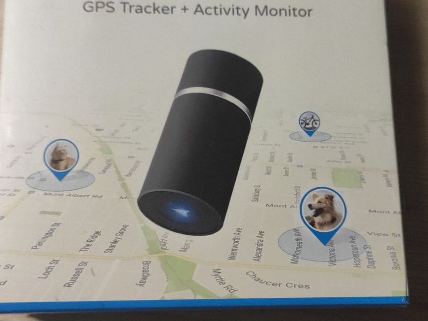 Gps ошейник для собак