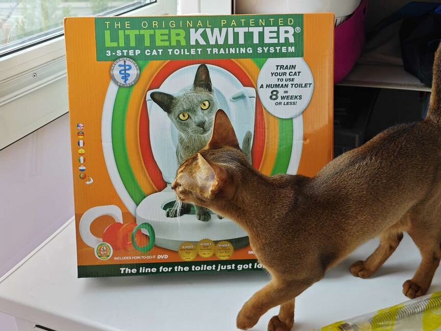 Система приучения кошек к унитазу