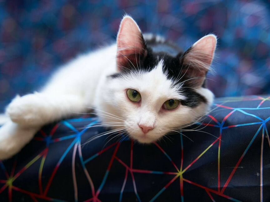 Почти всю свою жизнь Сэнди ждёт семью