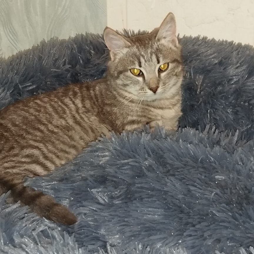 Мальчик 5 мес