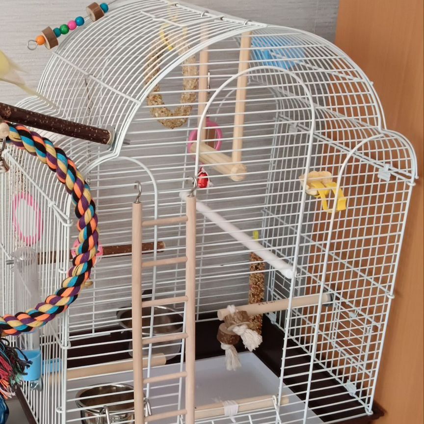 Клетка для попугая