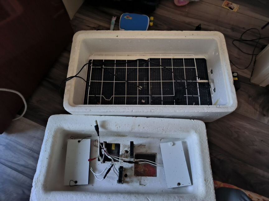 Инкубатор для яиц автоматический бу