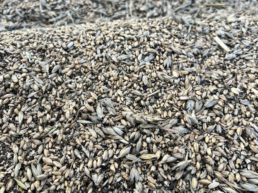 Зерновые отходы