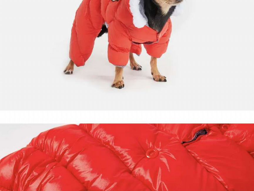 Комбинезон для собак arnydog