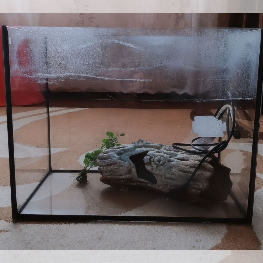 Аквариум и домик