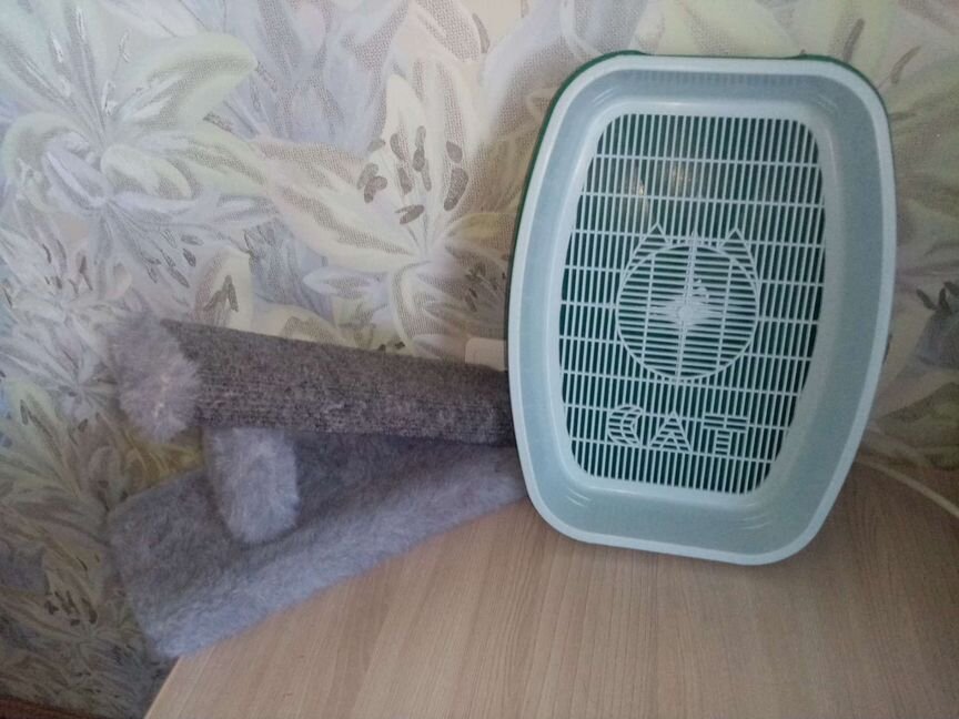 Лоток и когтеточка для котёнка