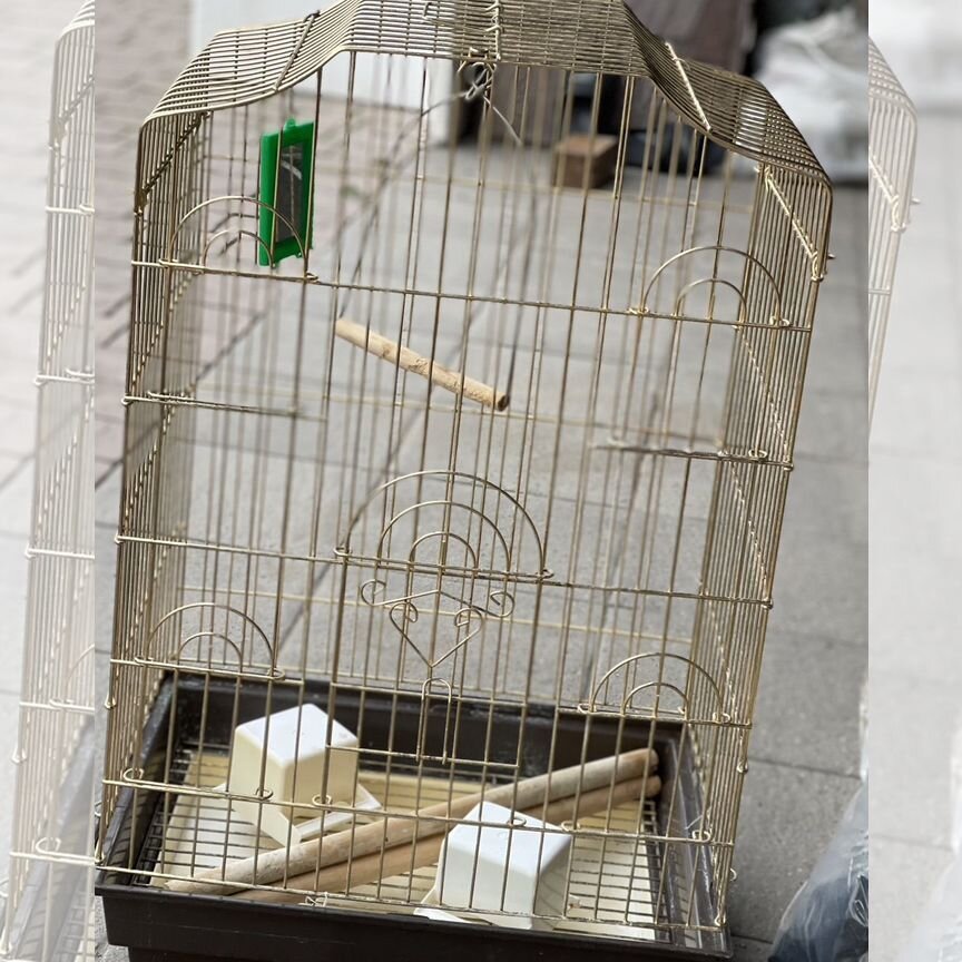 Клетка для среднего попугая
