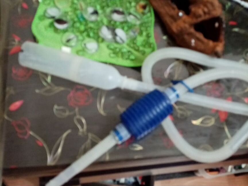 Аквариумные рыбки гуппи, и сом