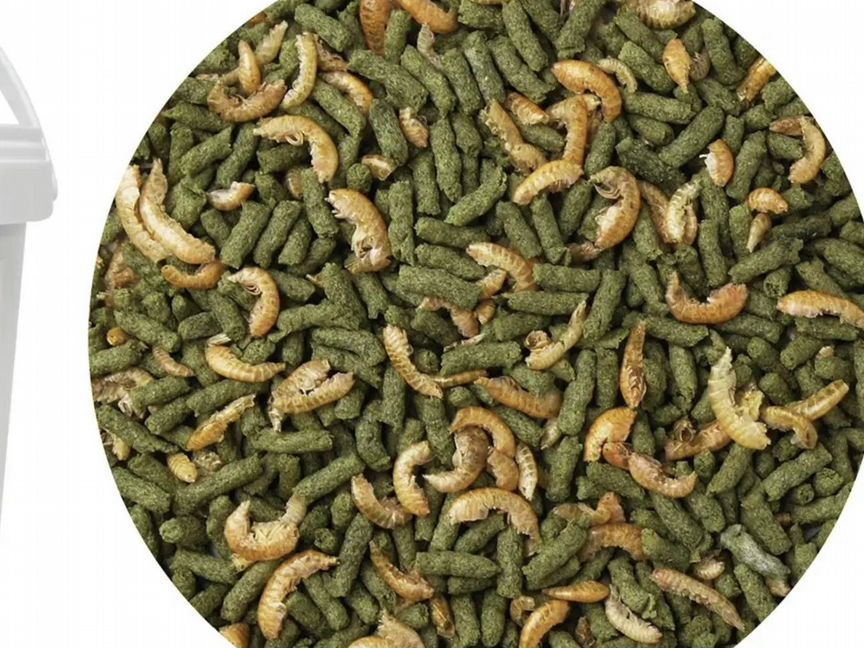 Корм для черепах