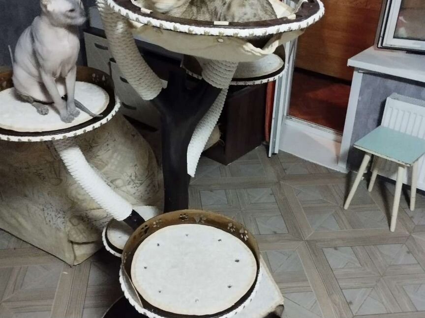 Когтеточки "Эксклюзив" для ценителей красоты