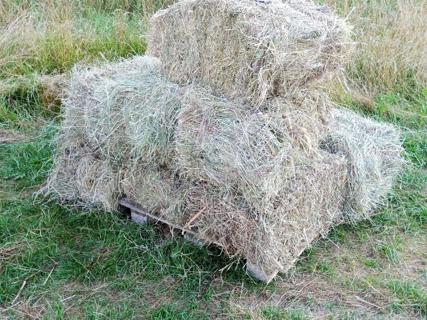 Сено в тюках
