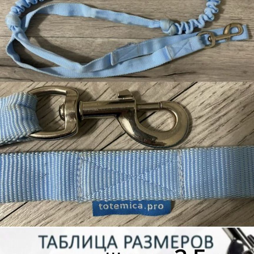 Амуниция для собак