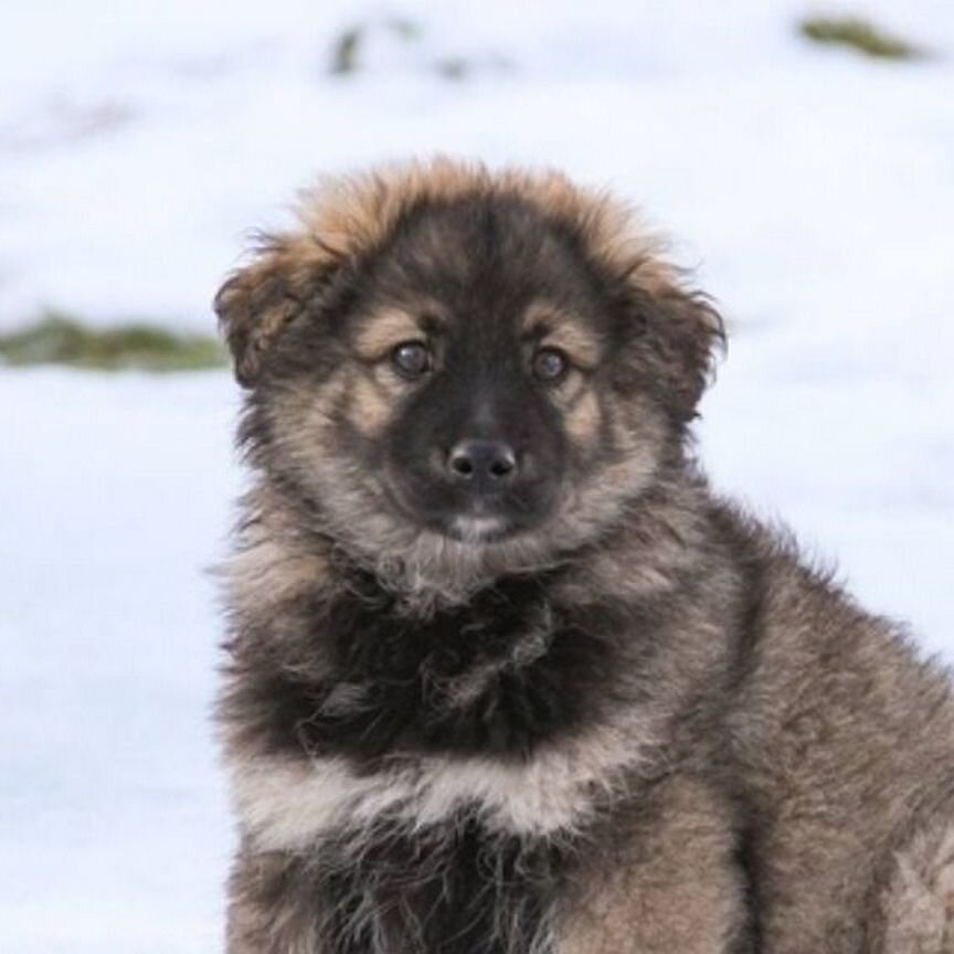 Шикарный парень