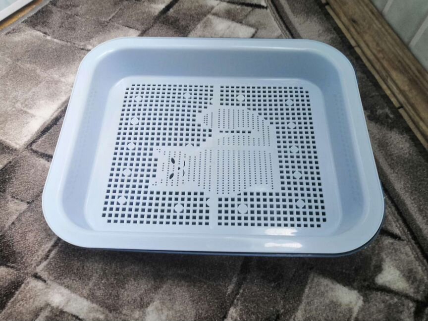 Лоток для котят