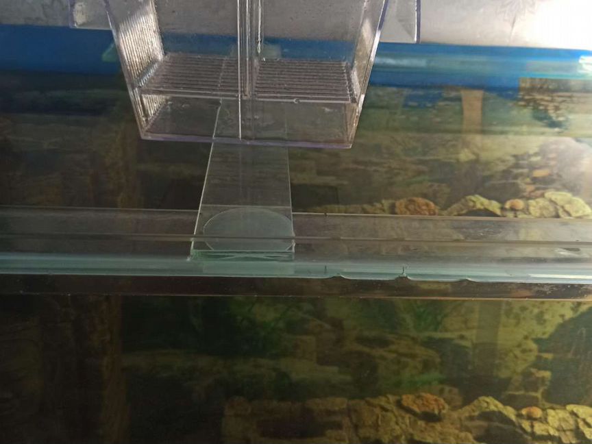 Отсадник для рыб