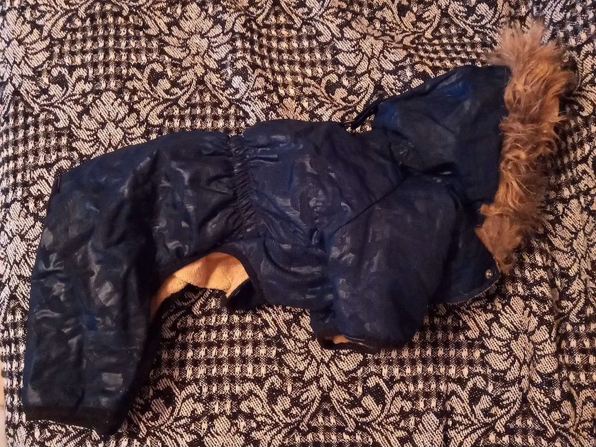 Зимний комбинезон для маленьких собак