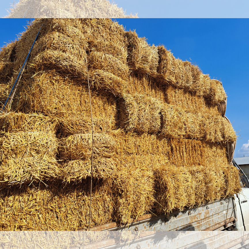 Солома в тюках по 18-20кг