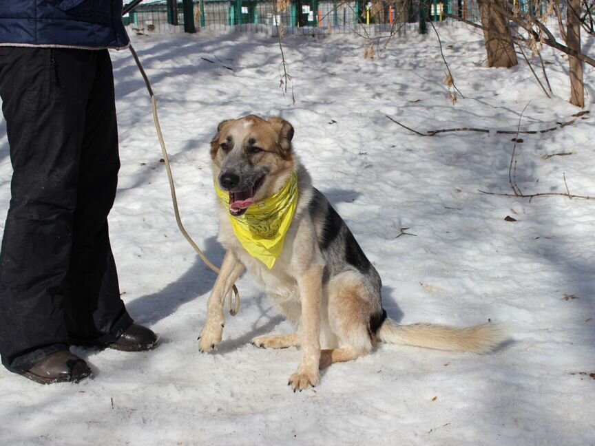 Микс подросток из приюта в поисках семьи и дома