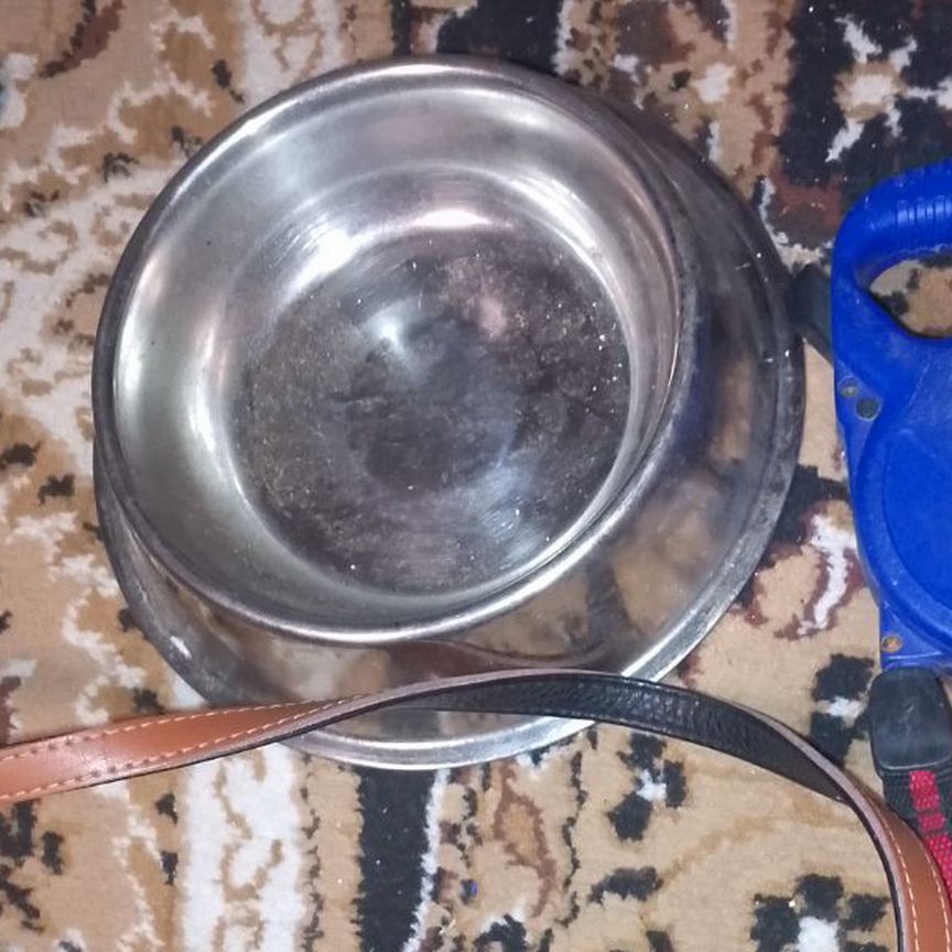 Миска и два поводка