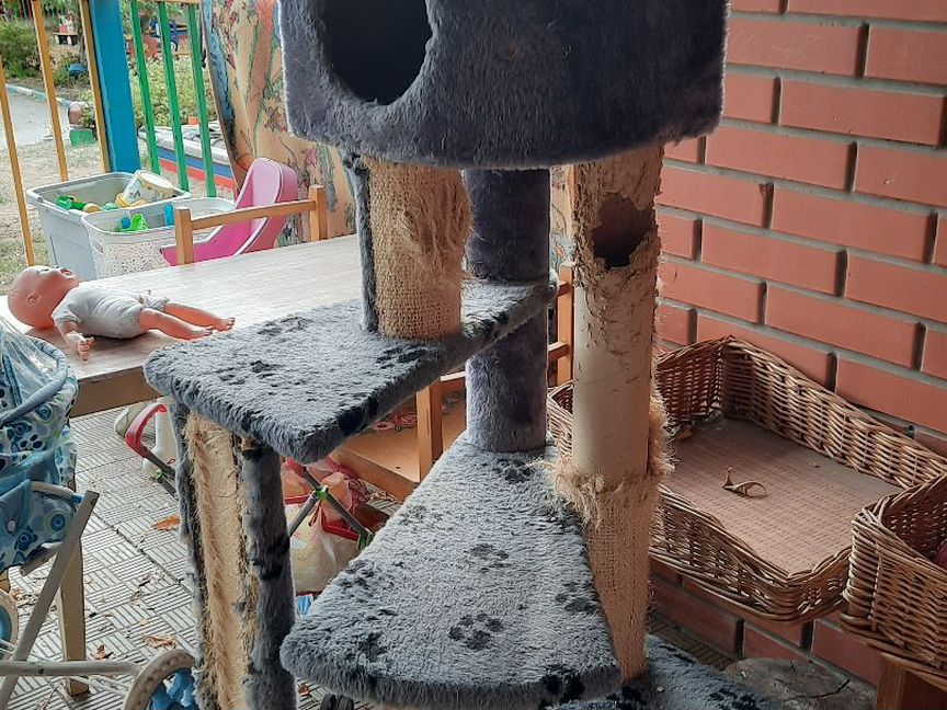 Многоуровневая когтеточка