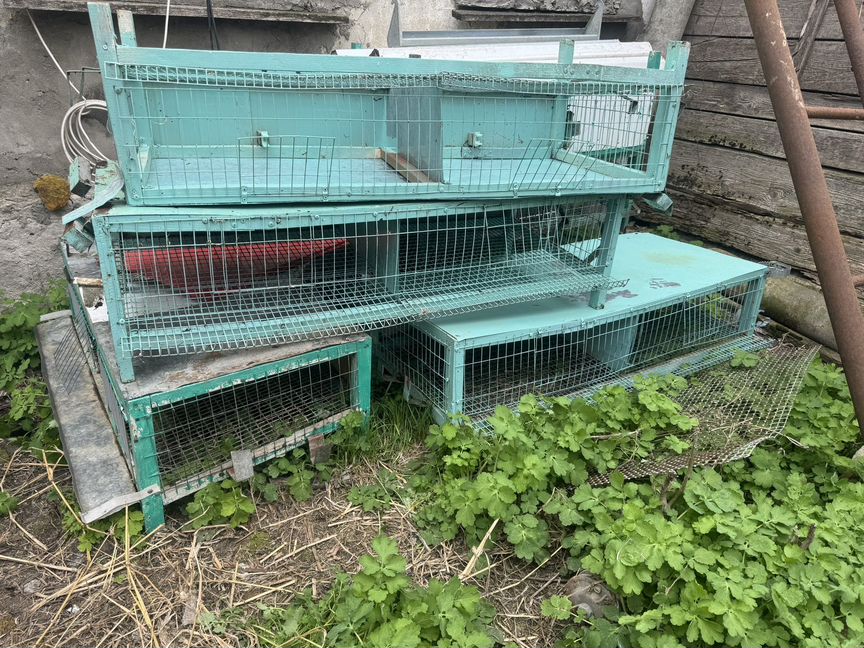 Клетка для перепелок