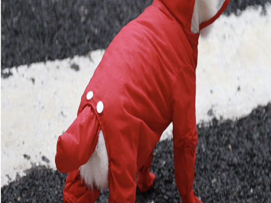 Дождевик для маленькой собаки