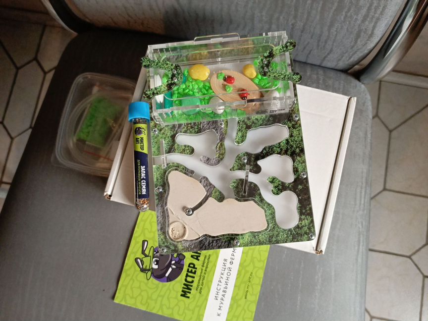 Муравьиная ферма Мистер Ант без муравьев