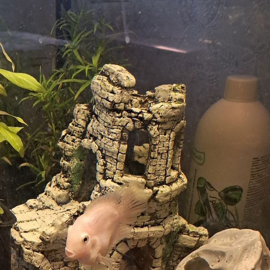 Украшение для аквариума