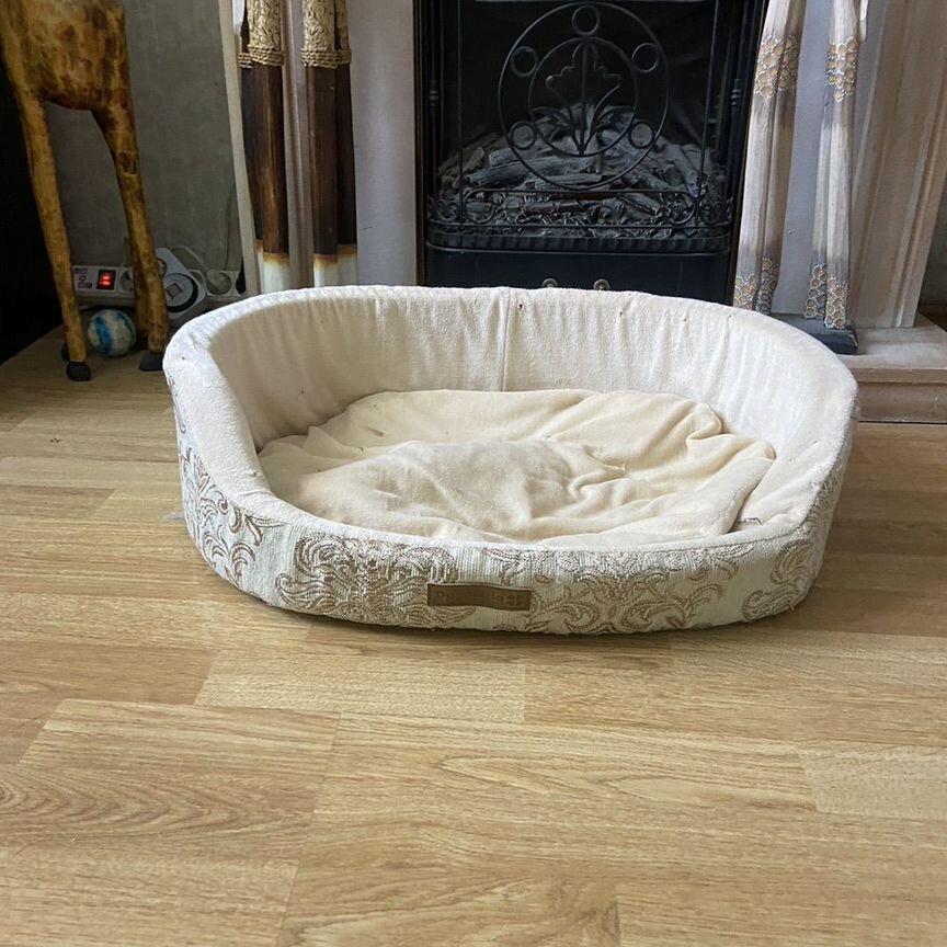 Лежак, рулетка для собаки