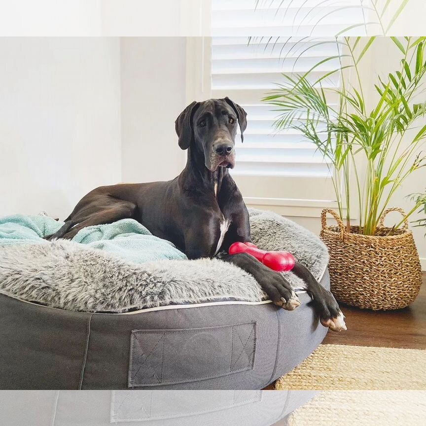 Лежак для собак