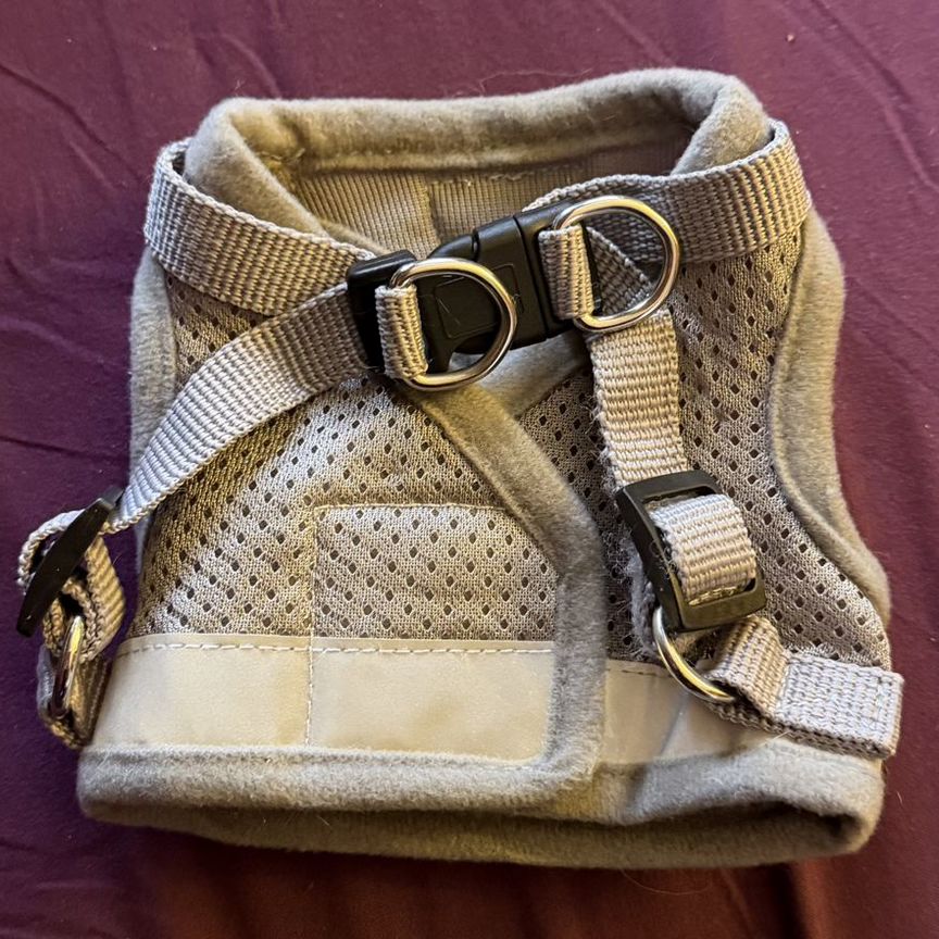 Шлейка для кошки