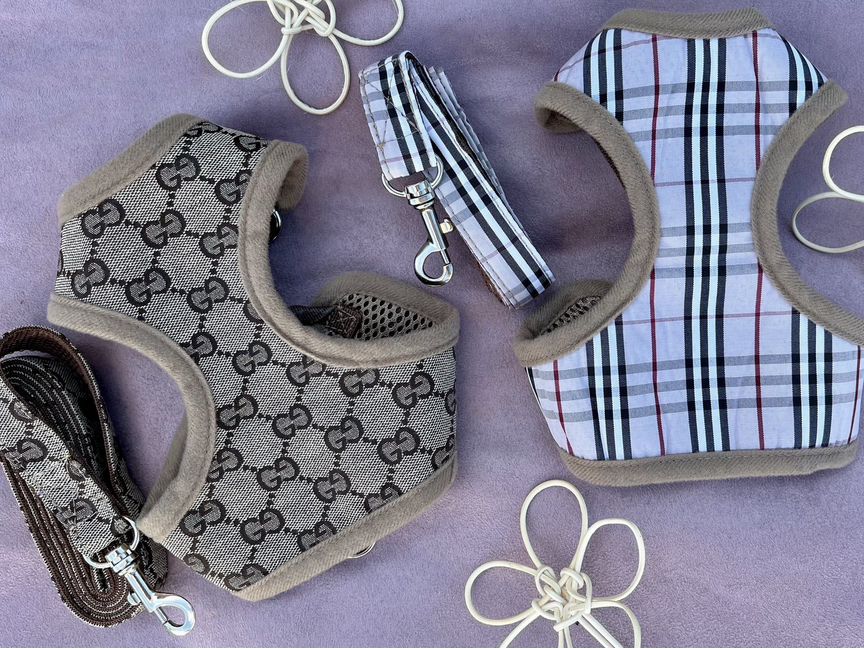 Шлейка для собак Gucci, Burberry + поводок