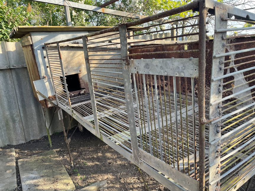 Клетка для нутрий или кроликов