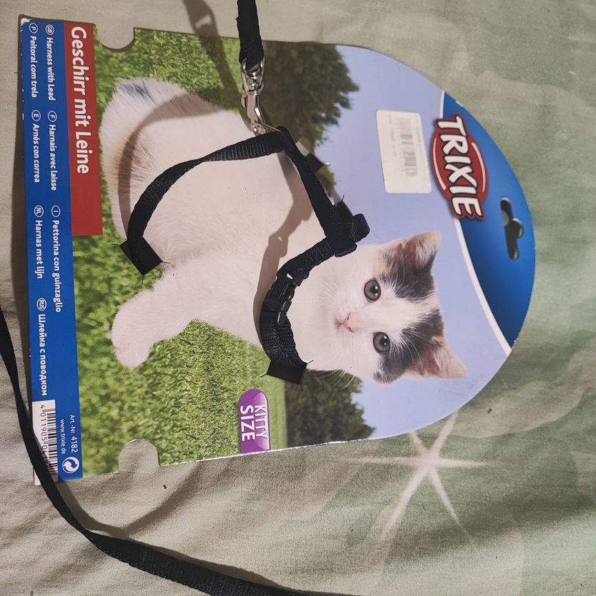 Шлейка для котенка