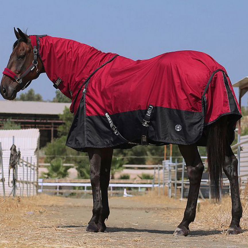 Попона для лошади 145