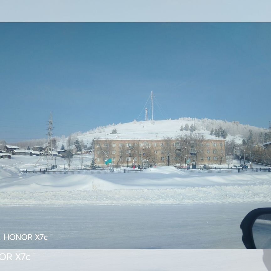 Восточноевропейская овчарка, щенок