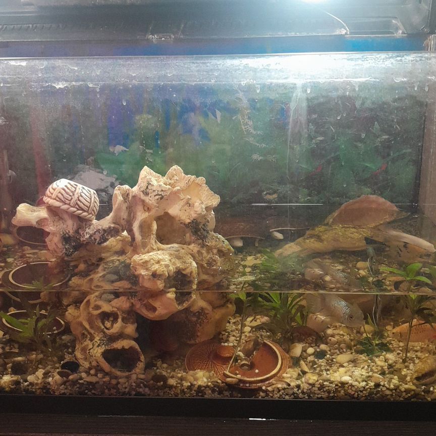 Ремонт аквариумов