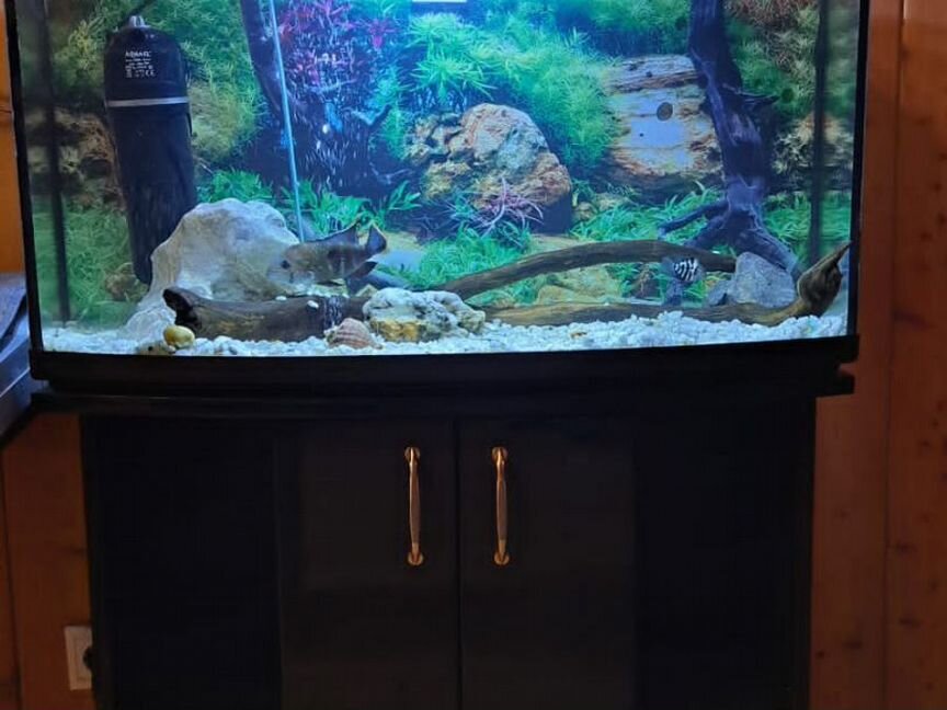 Аквариум с тумбой 150 л