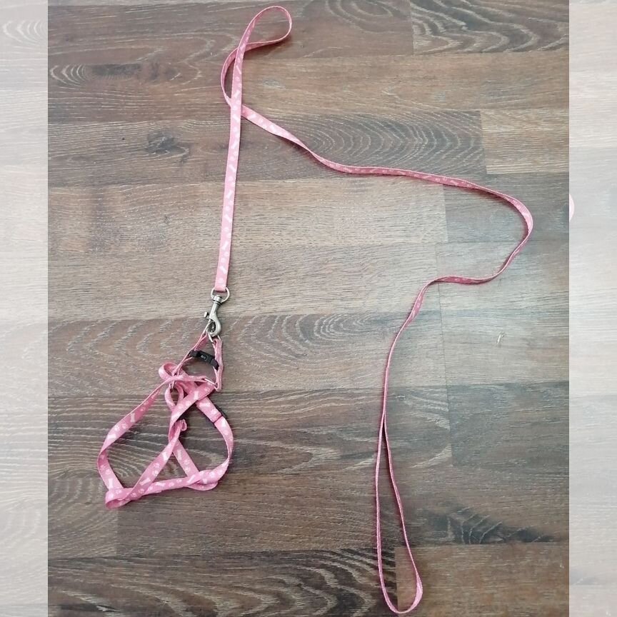 Шлейка для кошки и собаки