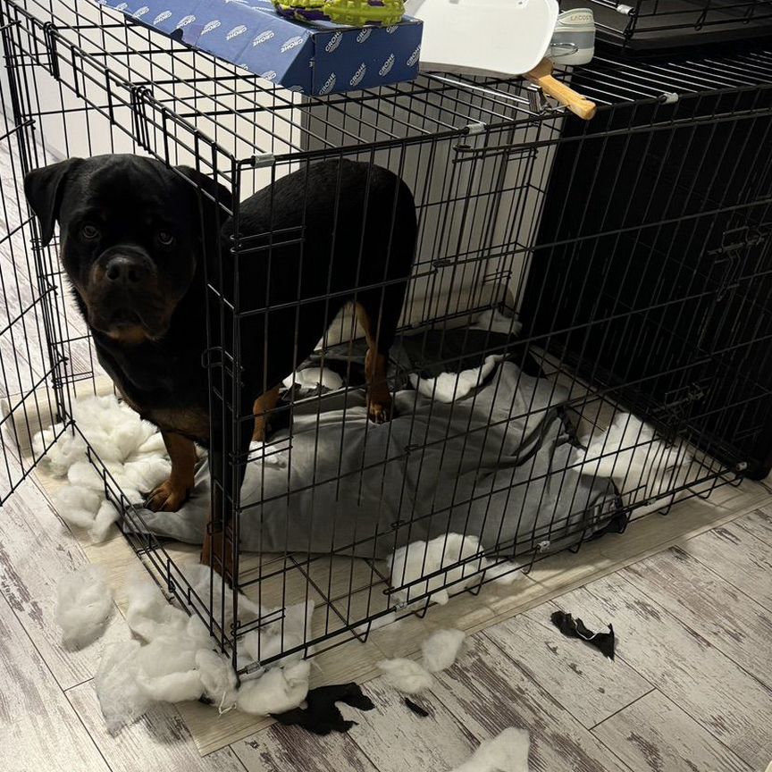 Клетка для крупных собак