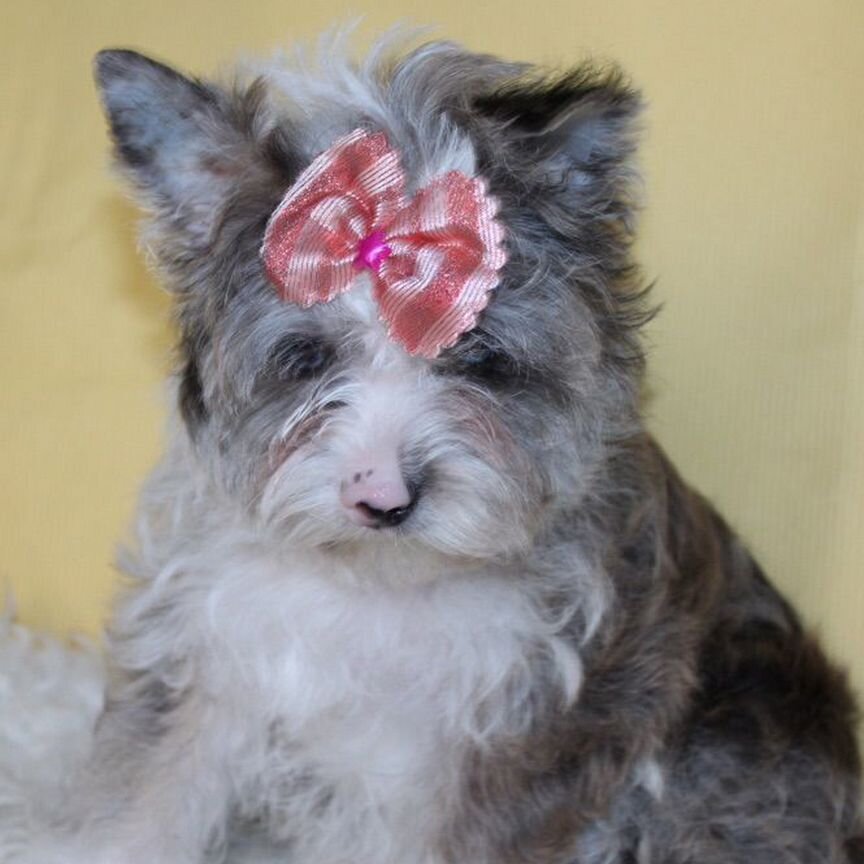 Мальчик голубоглазый