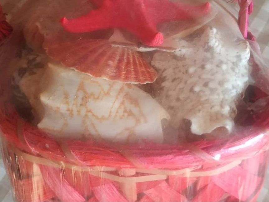 Ракушки для аквариума