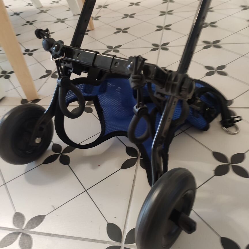 Инвалидная коляска для собак