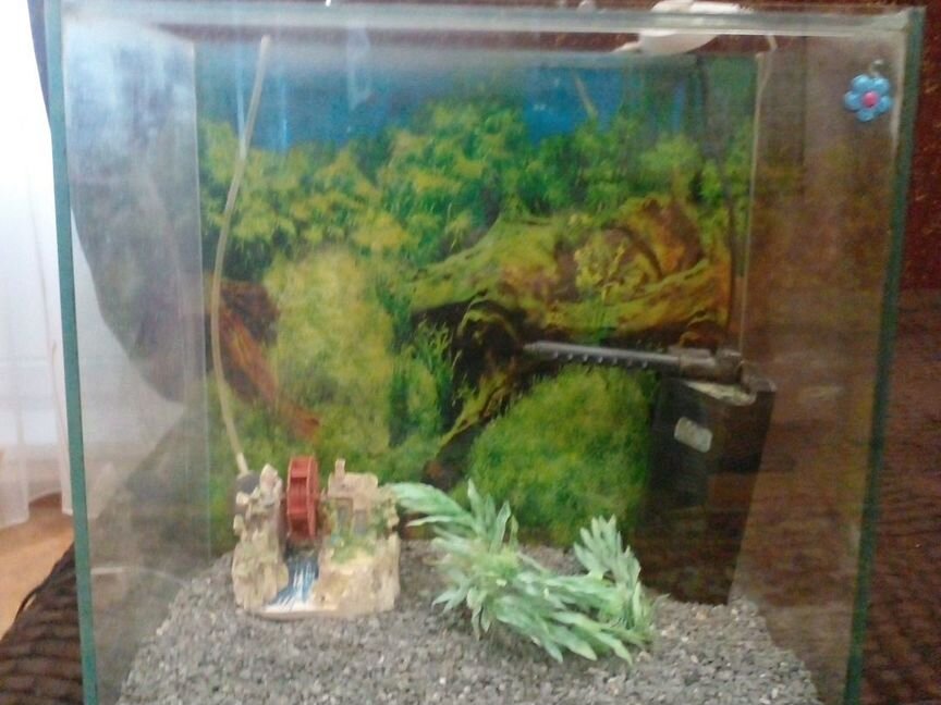 Аквариум 40 литров со всем содержимым